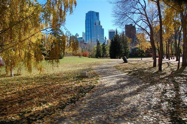 The Most Famous Attractions that Calgary is Offering – Things to do in ...